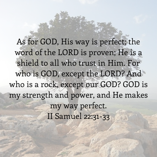 20 Encouraging Scriptures from King David (המלך דוד) — Papa Shaun's Corner