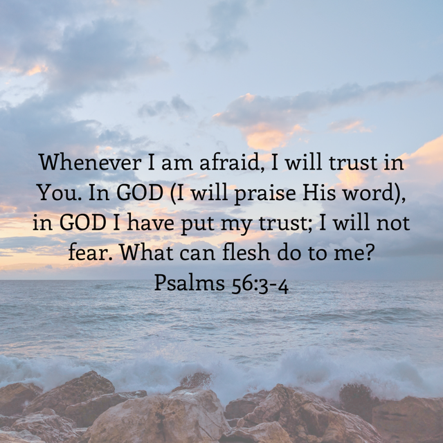 20 Encouraging Scriptures from King David (המלך דוד) — Papa Shaun's Corner