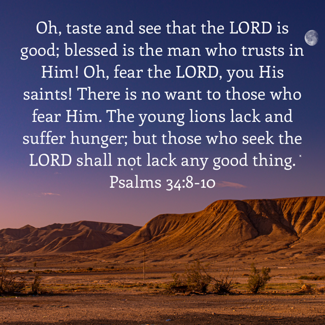 20 Encouraging Scriptures from King David (המלך דוד) — Papa Shaun's Corner