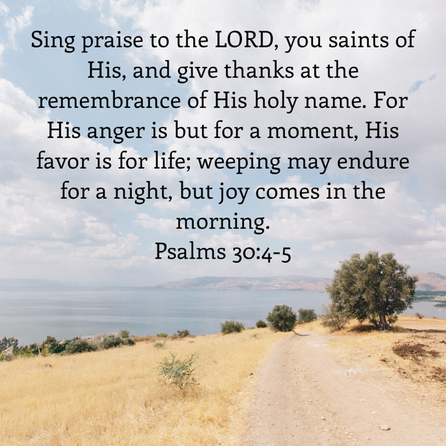 20 Encouraging Scriptures from King David (המלך דוד) — Papa Shaun's Corner