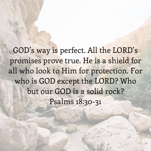 20 Encouraging Scriptures from King David (המלך דוד) — Papa Shaun's Corner