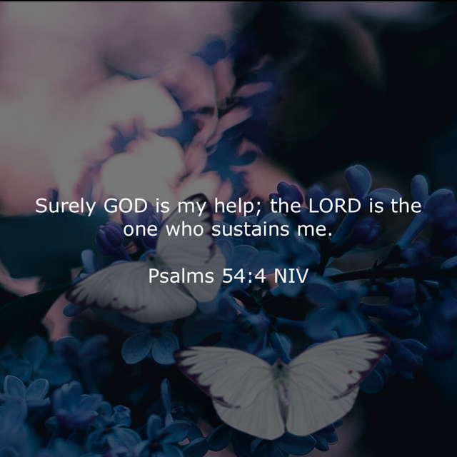 20 More Encouraging Scriptures from King David (המלך דוד) — Papa Shaun ...