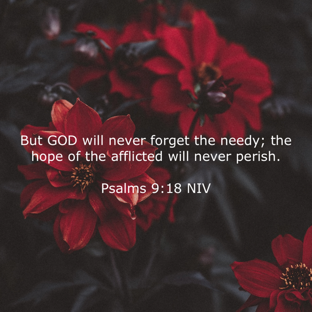 20 More Encouraging Scriptures from King David (המלך דוד) — Papa Shaun ...