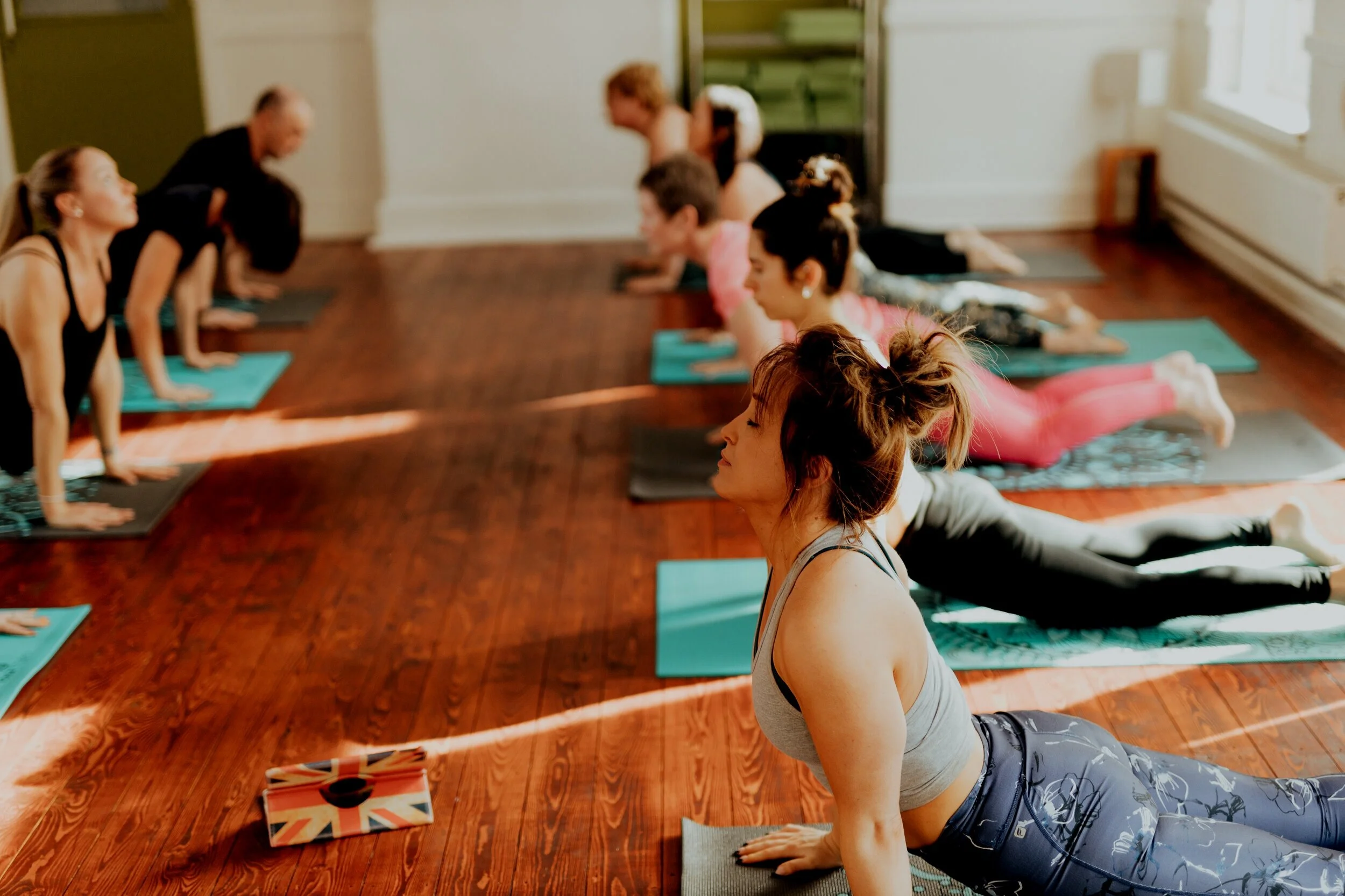 Hatha Yoga — Tall Trees Yoga