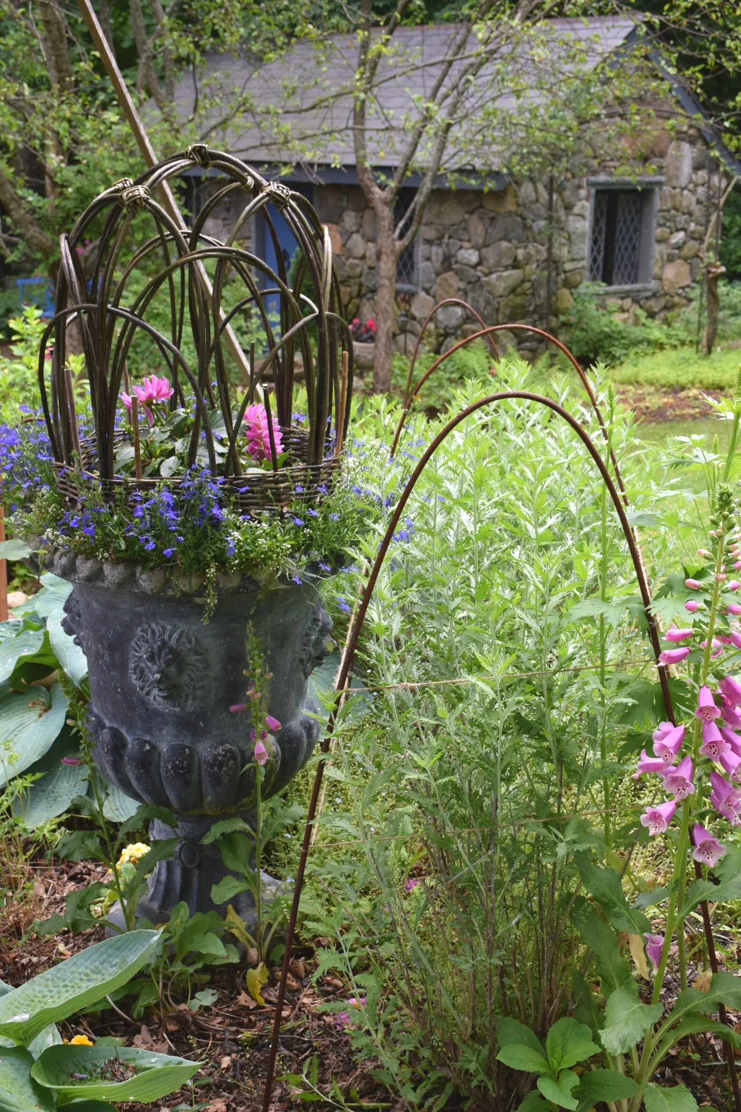 Tall Perennial Plant Supports — English Garden Supplies