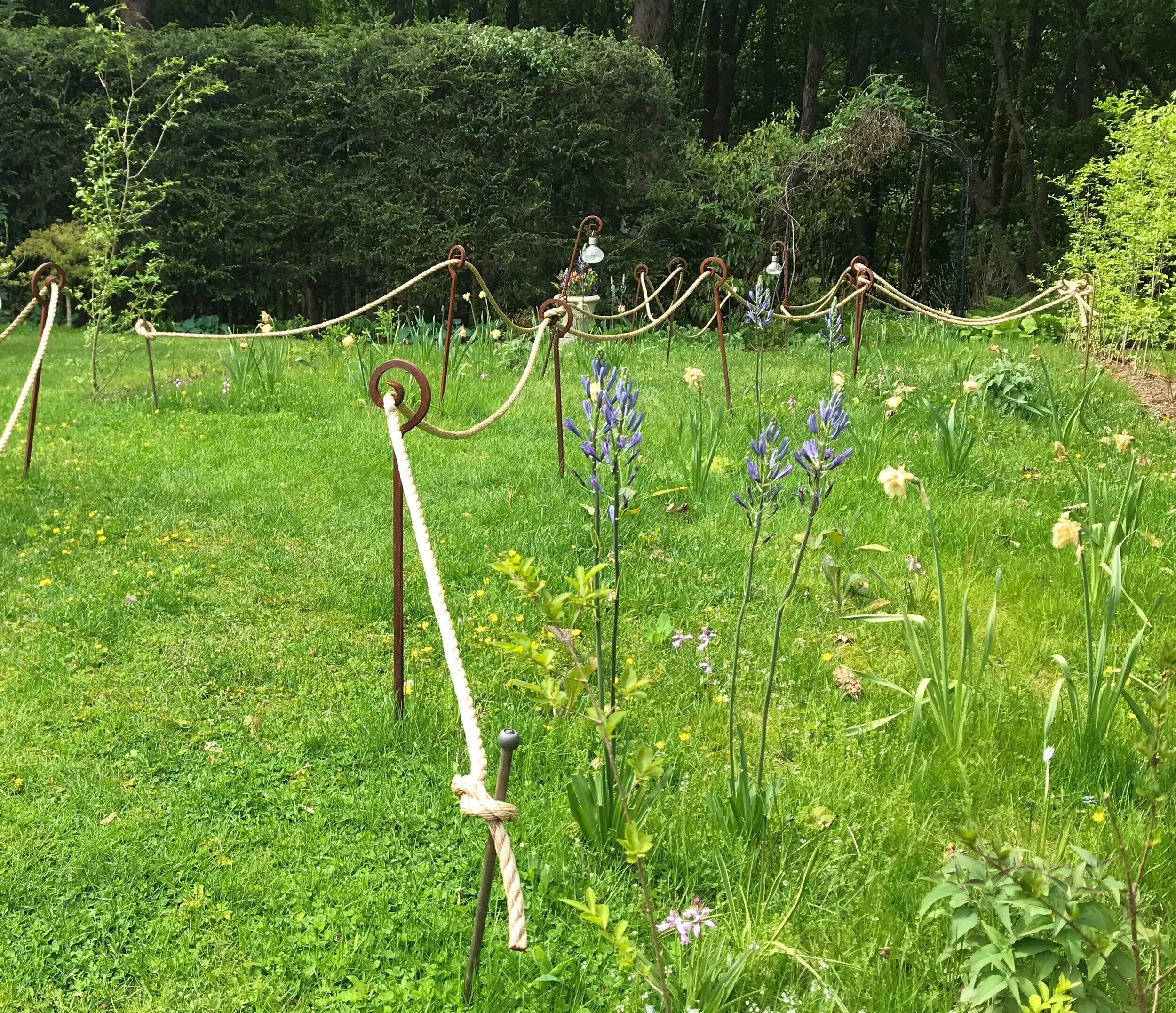 Making a Meadow — English Garden Supplies