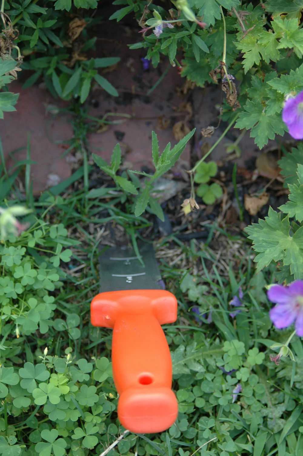 Heavy Duty Bulb Planter — English Garden Supplies