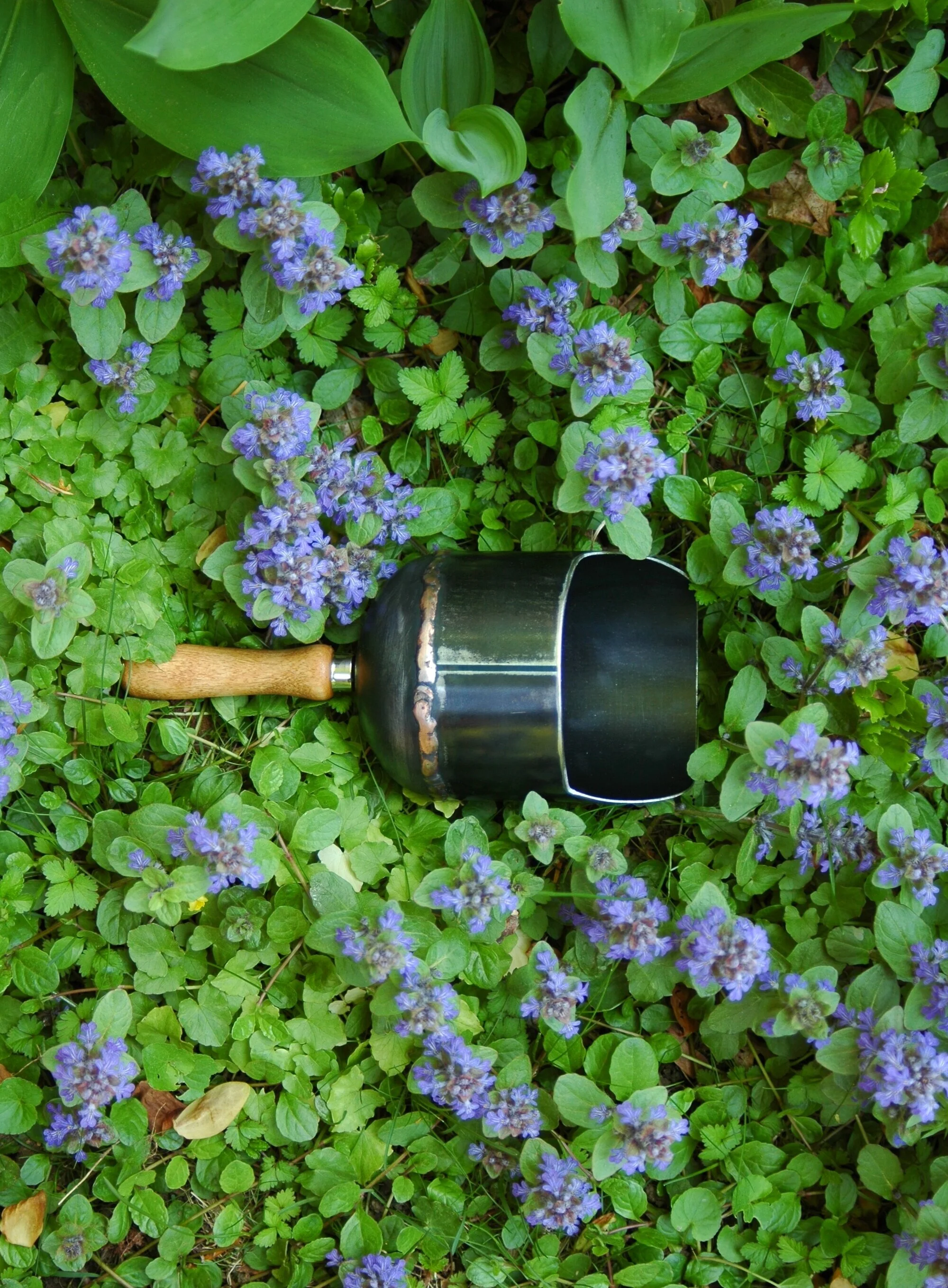 Rhubarb Forcer — English Garden Supplies