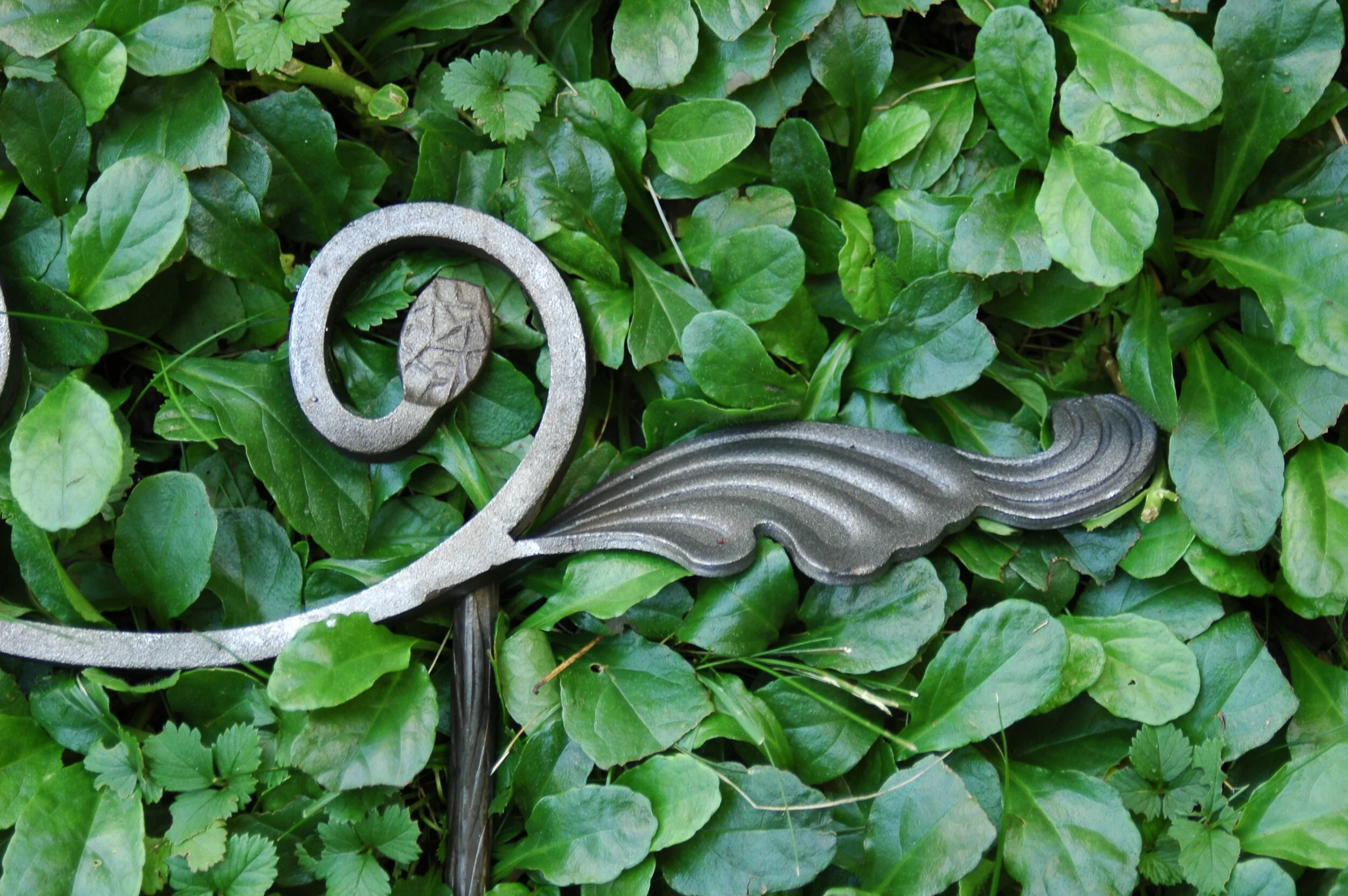 Hose Guard — English Garden Supplies