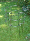 Tall Plant Stakes — English Garden Supplies