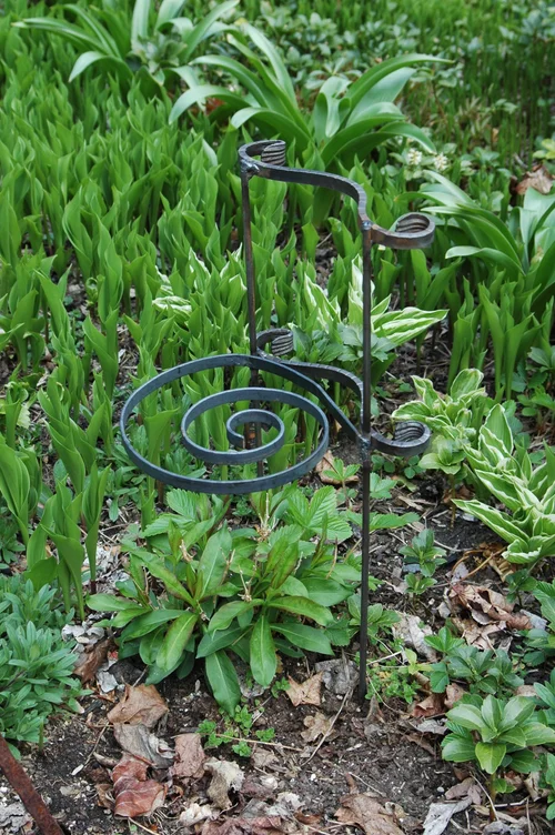 Tall Perennial Plant Supports — English Garden Supplies