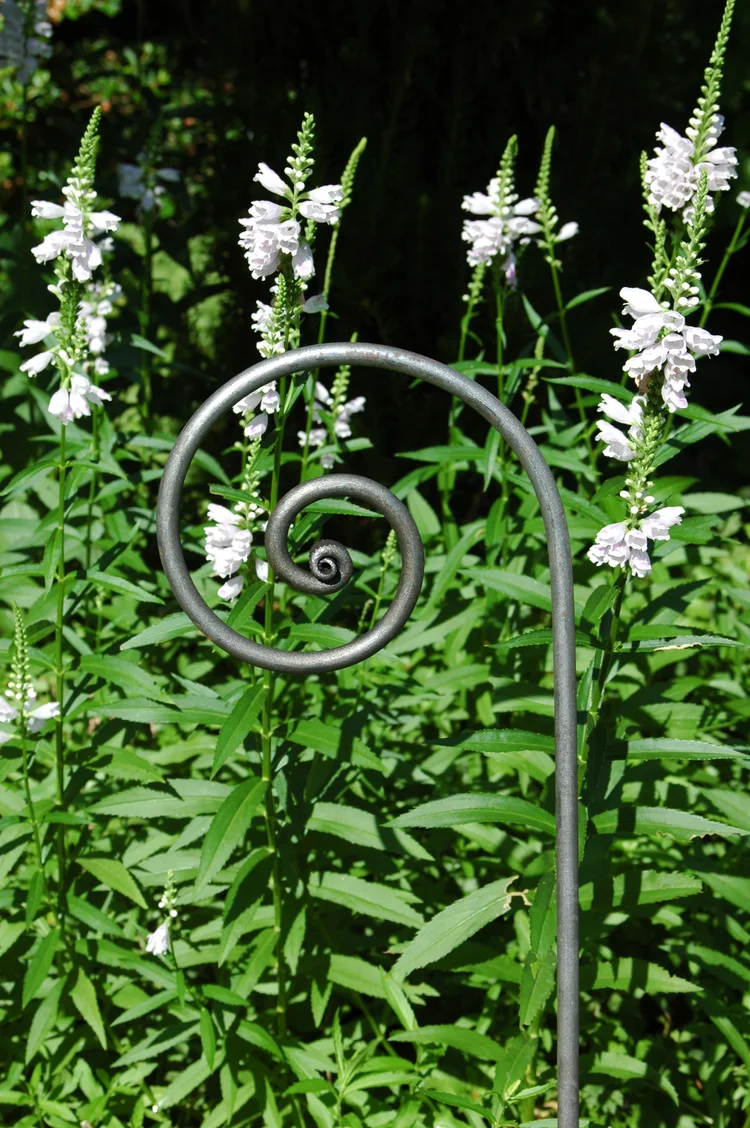 Garden Stakes — English Garden Supplies