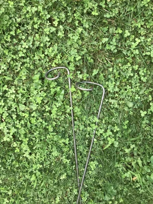 Tall Perennial Plant Supports — English Garden Supplies