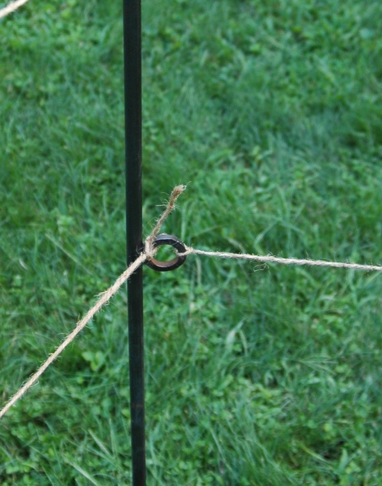 Forged Metal Plant Stakes — English Garden Supplies