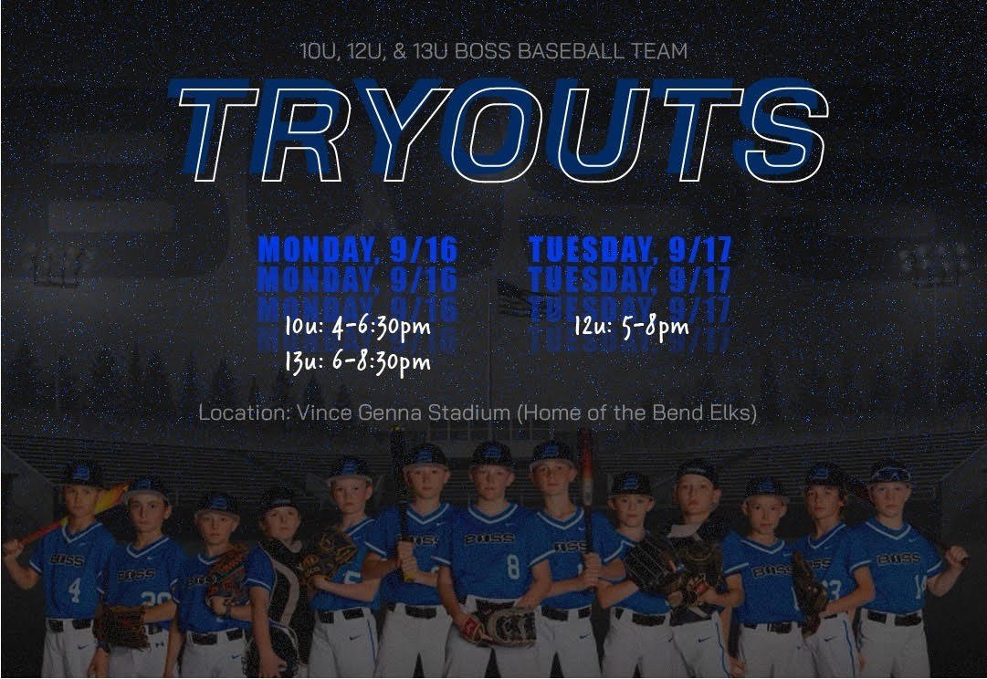 OVERVIEW — BOSS Baseball