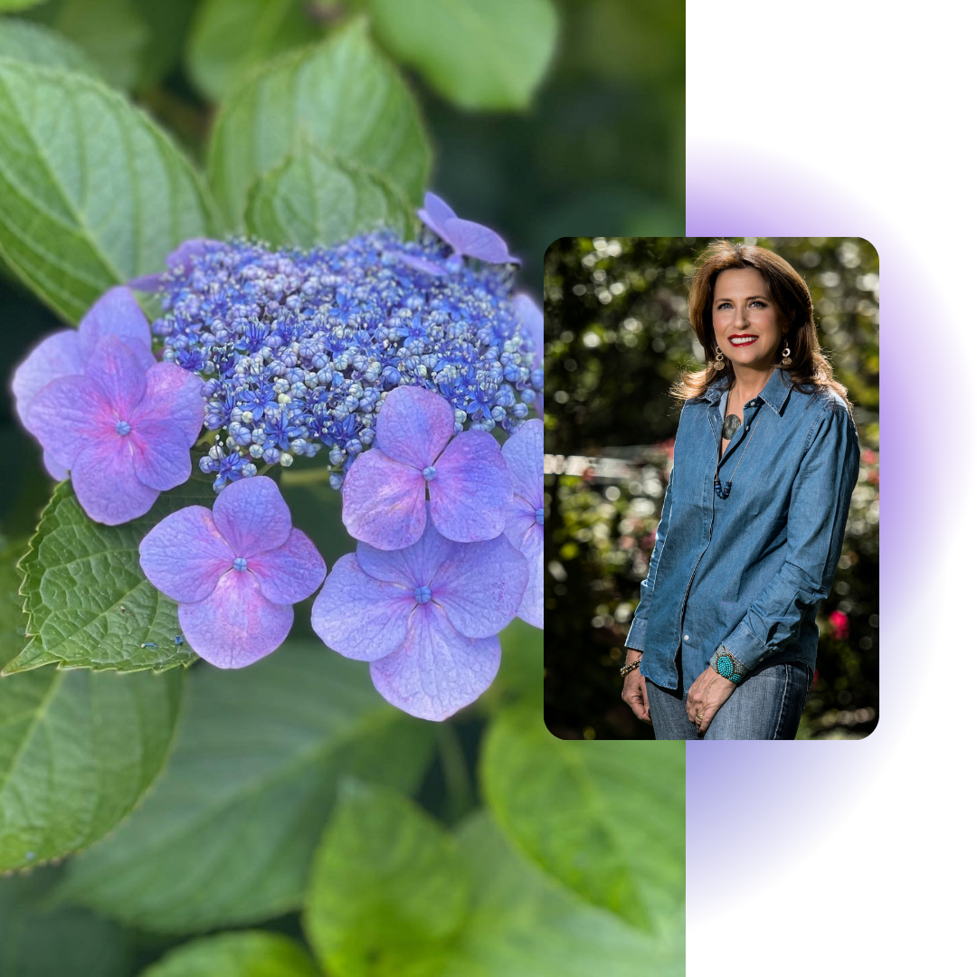 The Outdoor Boom — Nancy Fire