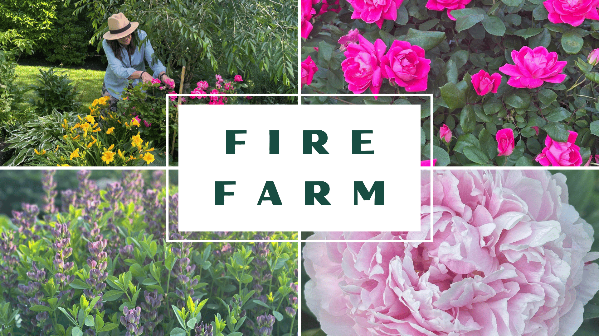 The Joy of Summer Gardening at FireFarm — Nancy Fire