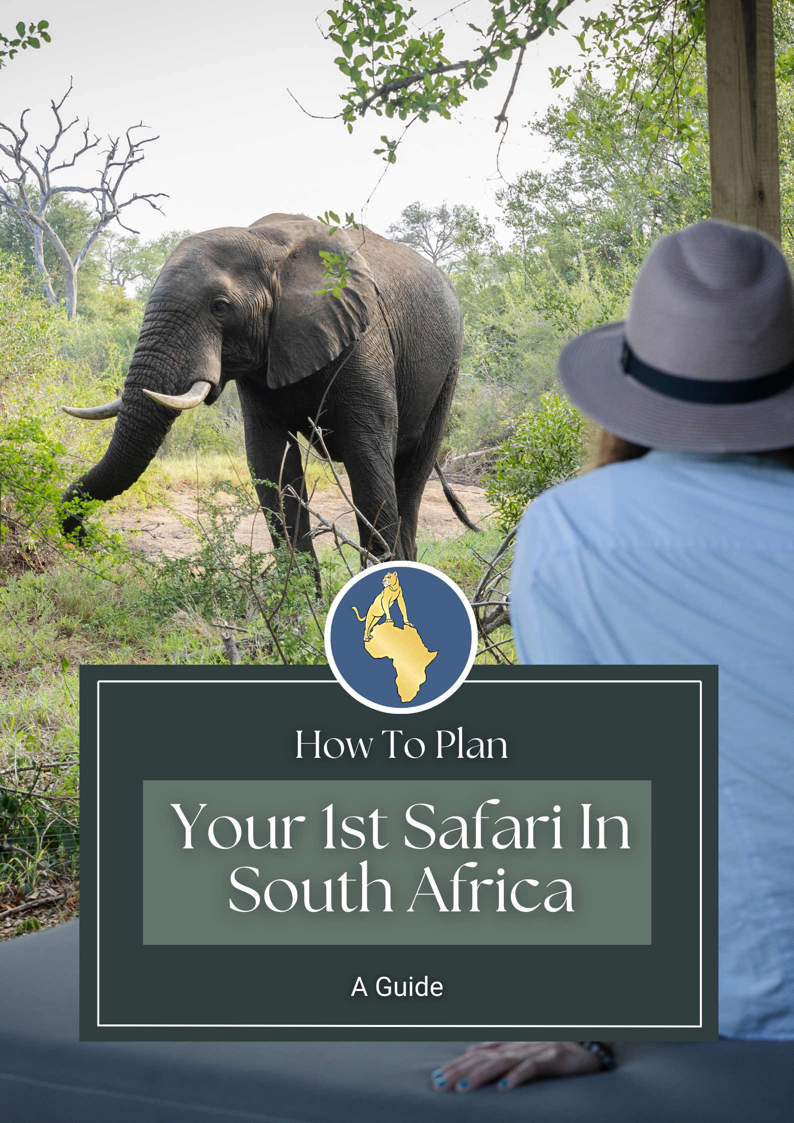 How To Plan Your 1st Safari In South Africa - A Guide — Nala Africa Safaris
