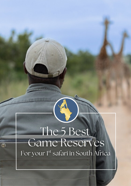 5 Best Game Reserves In South Africa For A Safari — Nala Africa Safaris