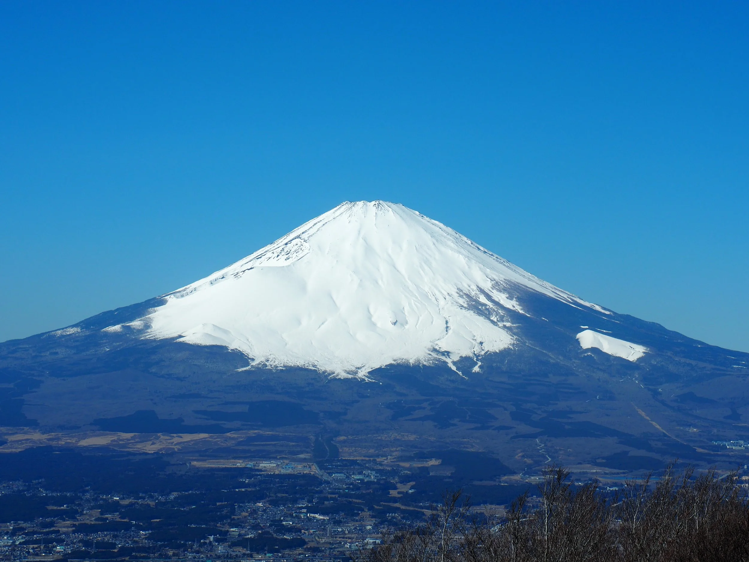 Tokyo Day Trip | Mount Kintoki | Hiking Tours w/ Local Guides — Really ...