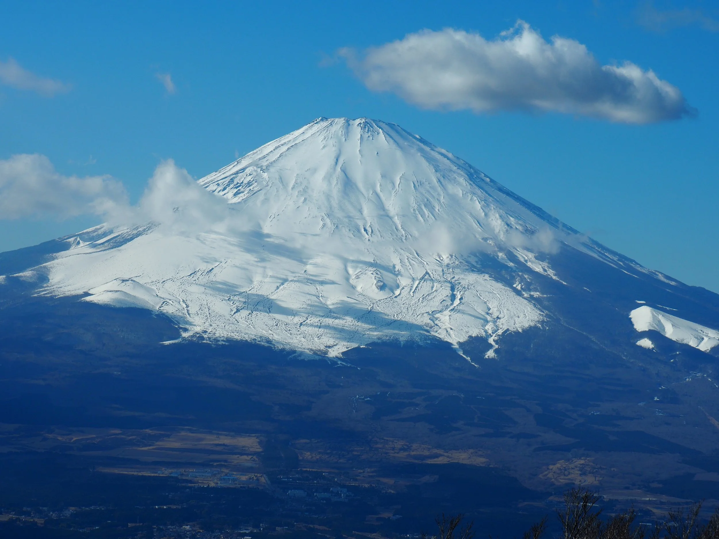 Tokyo Day Trip | Mount Kintoki | Hiking Tours w/ Local Guides — Really ...