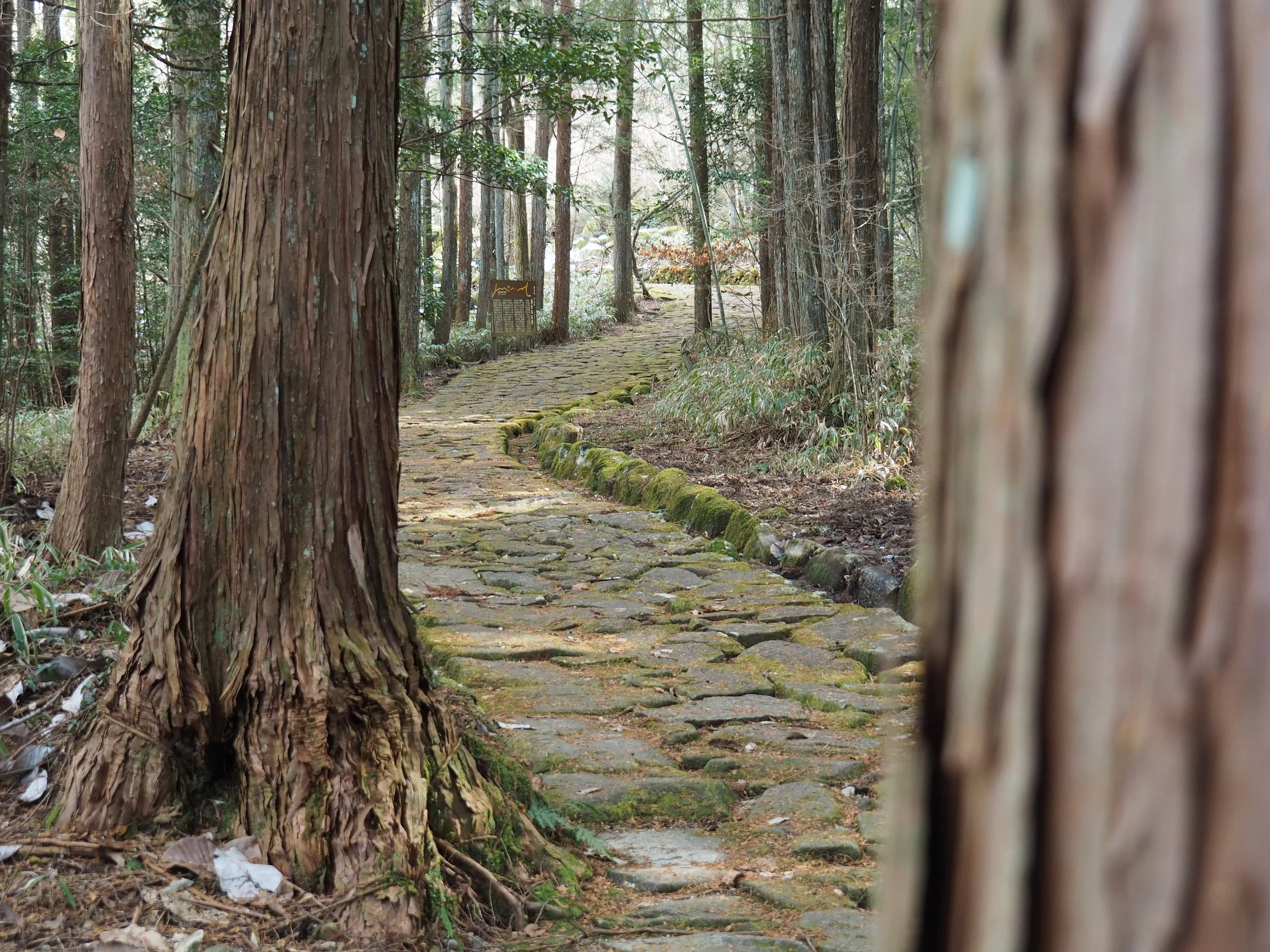 Nakatsugawa to Magome | Nakasendo Hiking Tours w/ Local Guides — Really ...