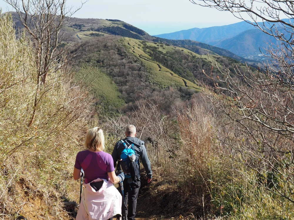 Tokyo Day Trip | Mount Kintoki | Hiking Tours w/ Local Guides — Really ...