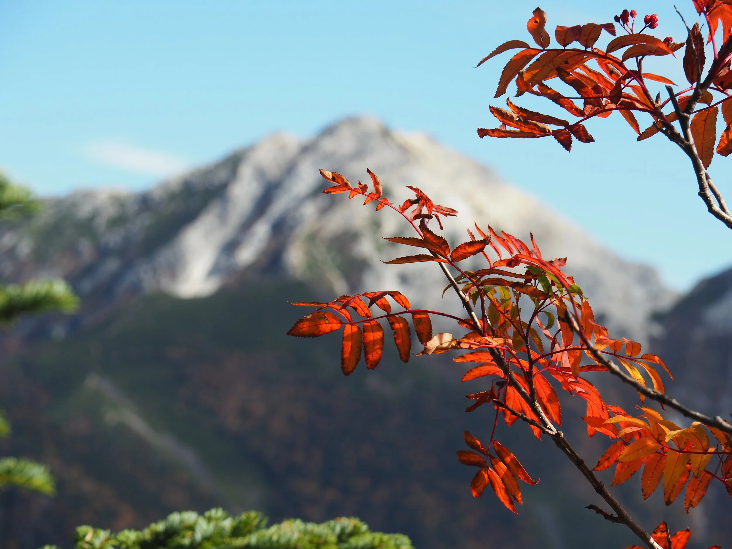 Really Rural Japan | Hiking Tours & Traditional Crafts In the Kiso ...