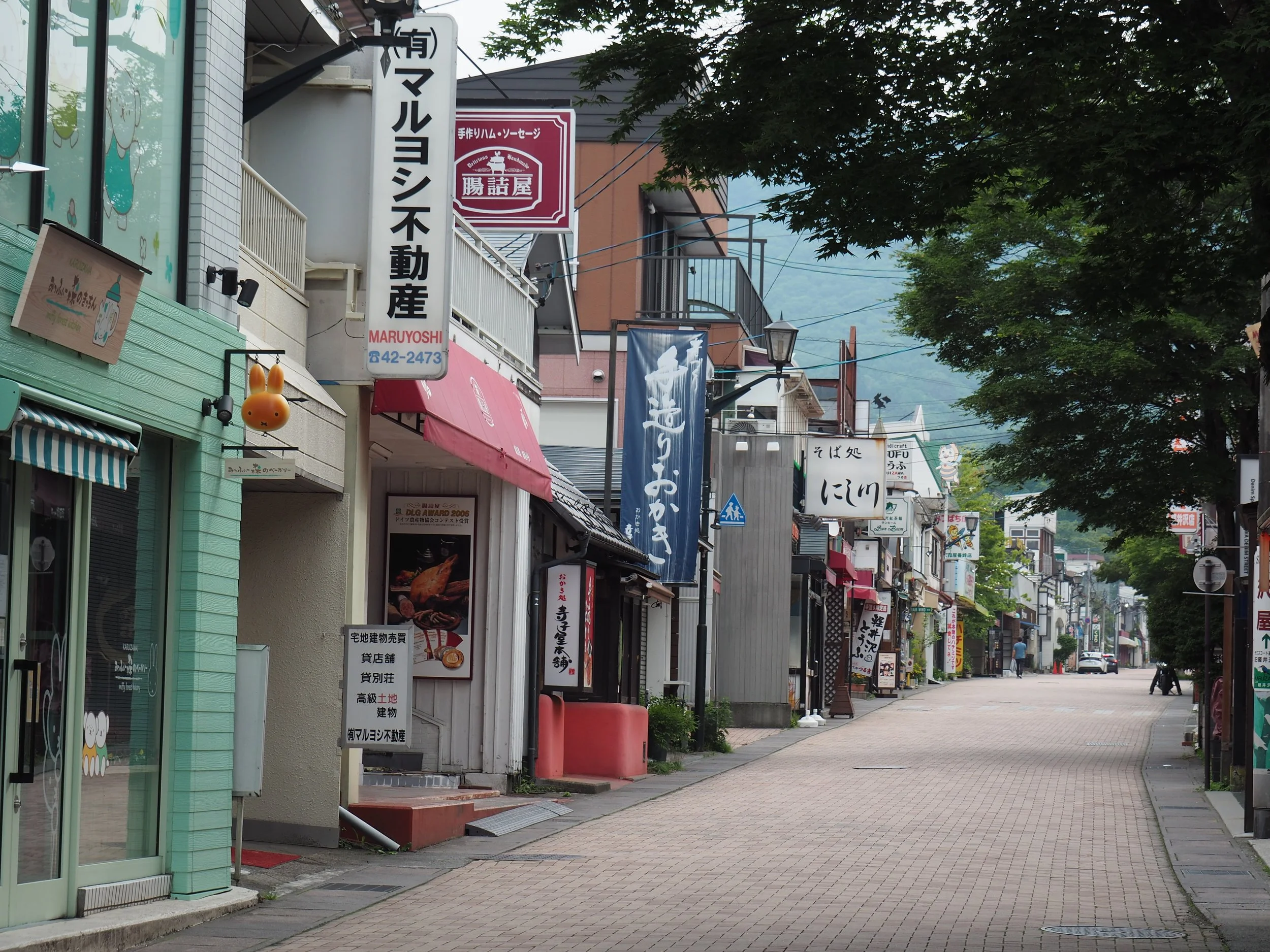 The Usui Pass - Karuizawa to Yokokawa | Private Nakasendo Hiking Tours ...