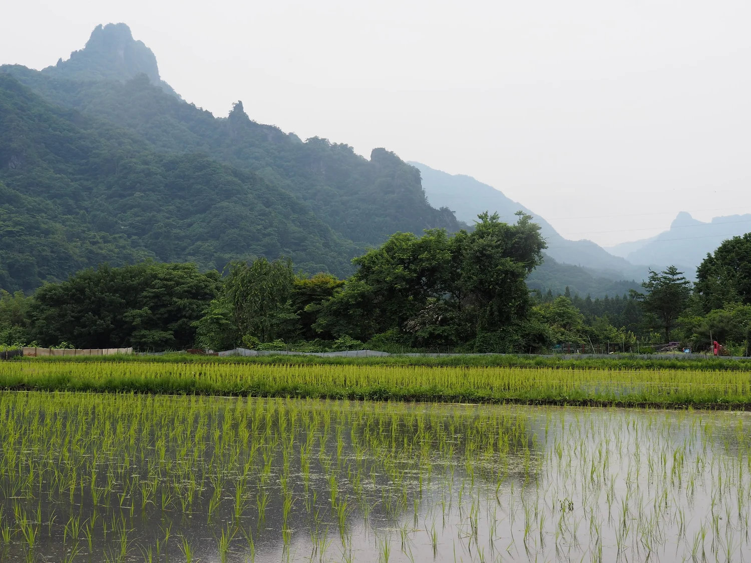 The Usui Pass - Karuizawa to Yokokawa | Private Nakasendo Hiking Tours ...