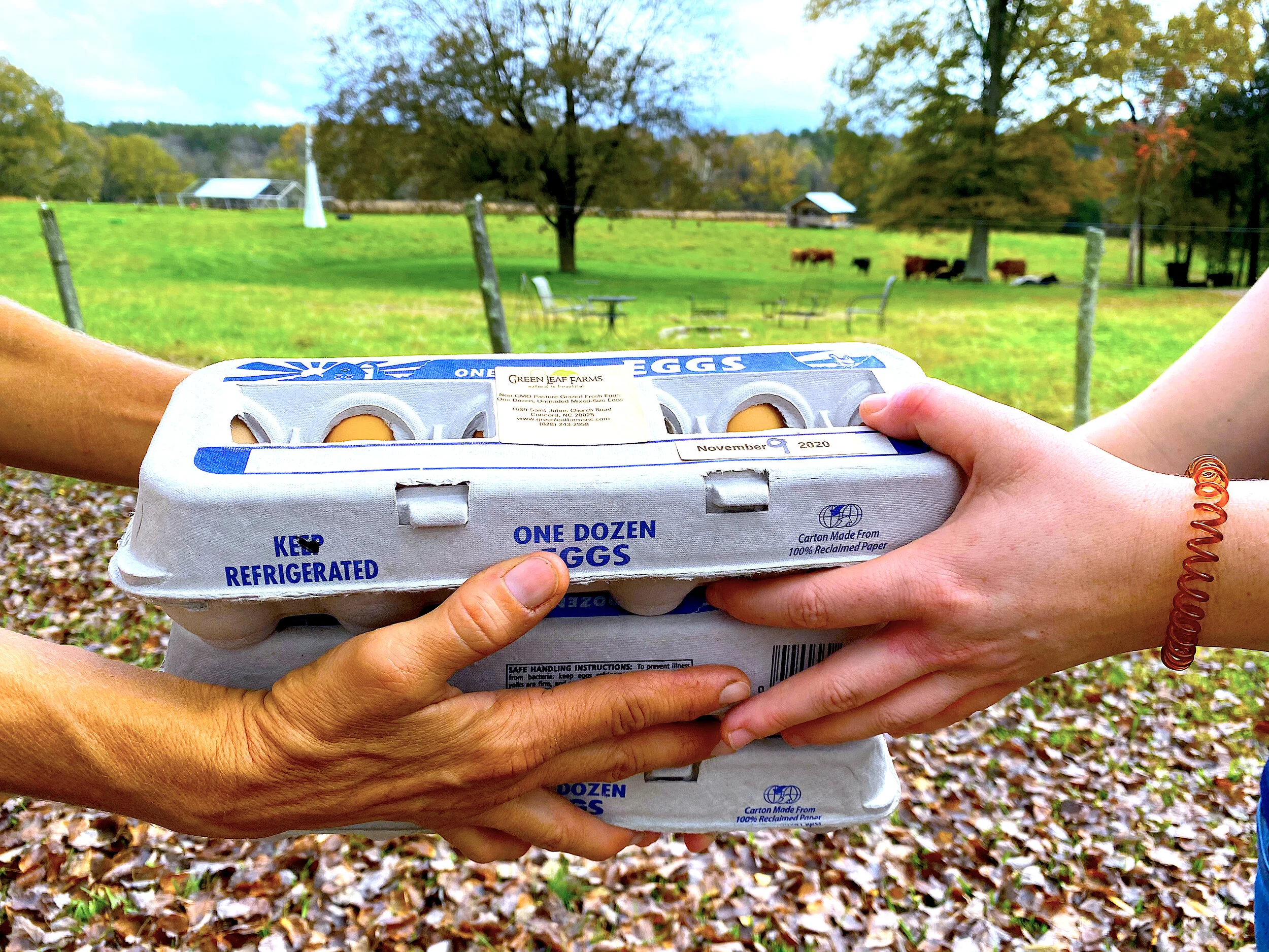 73 & Main | Café Lentz