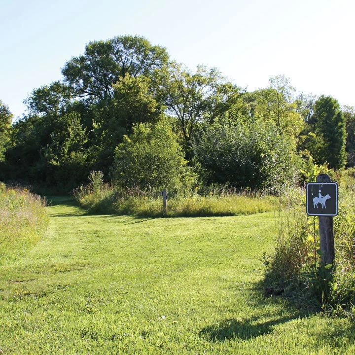 Horse Trails What You Need To Know — Anoka County Parks
