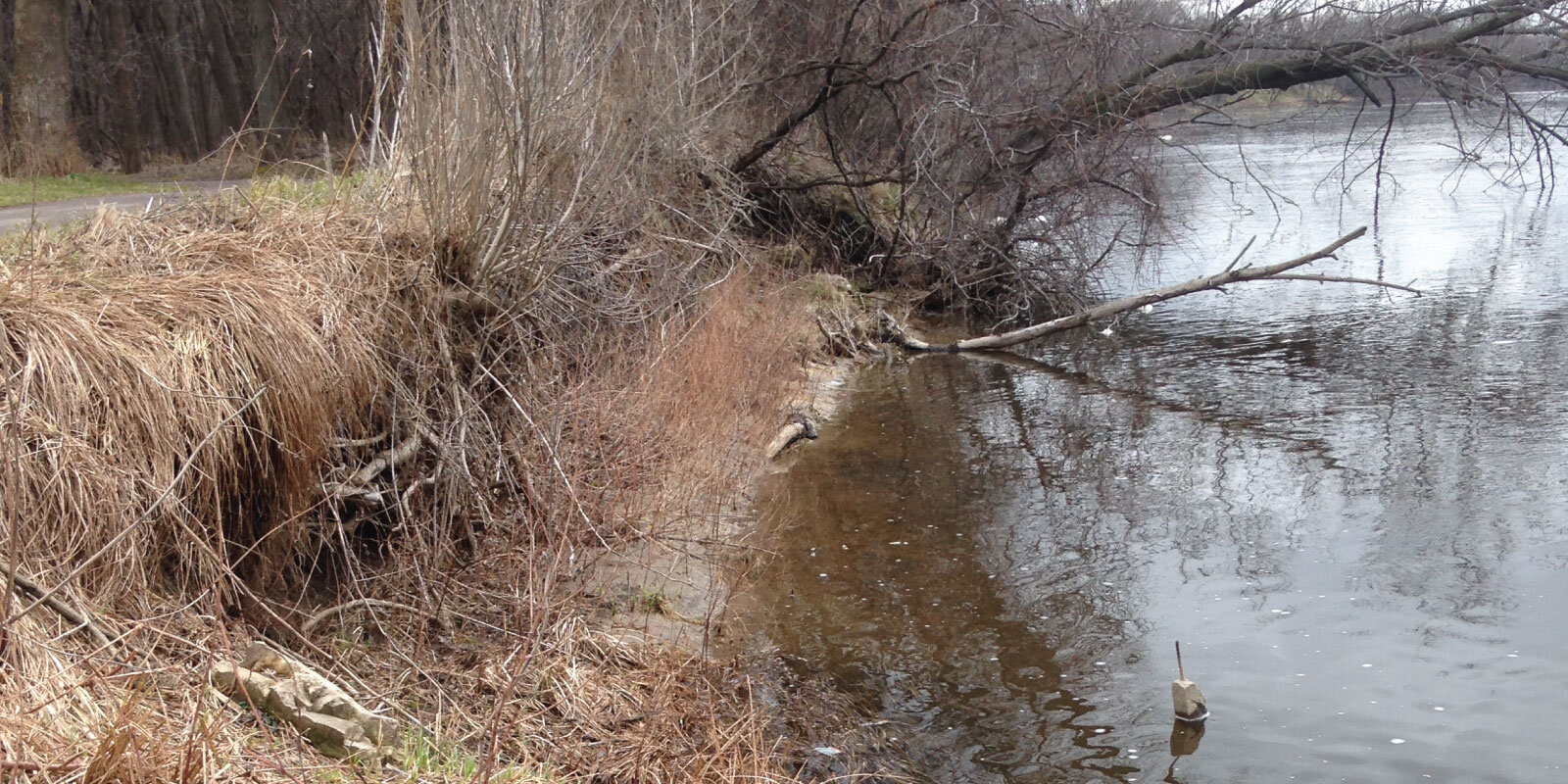 Riverbank Stabilization — Anoka County Parks