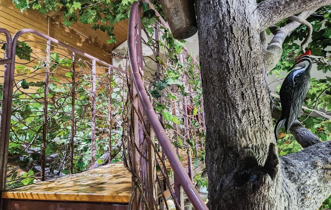 Wargo Nature Center — Anoka County Parks