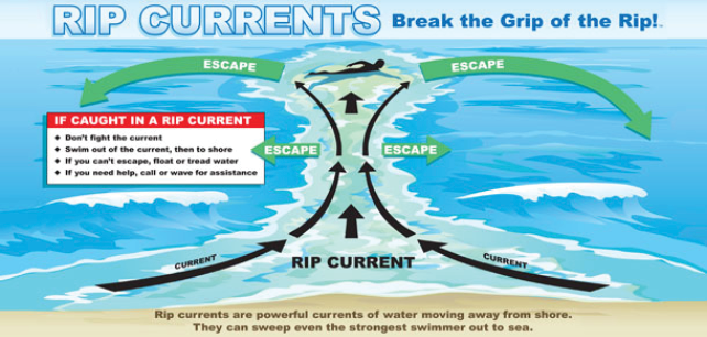 BeachSafety — CheckMyBeach