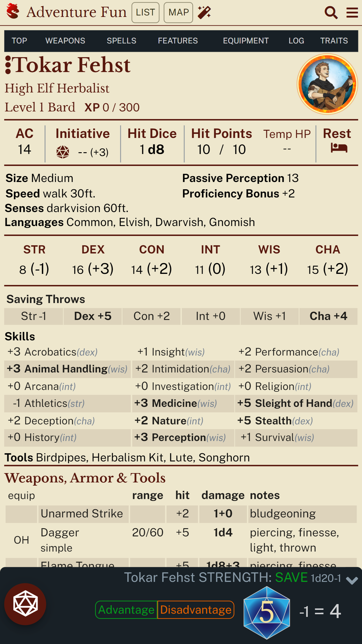 Playing a Character — Shard Tabletop