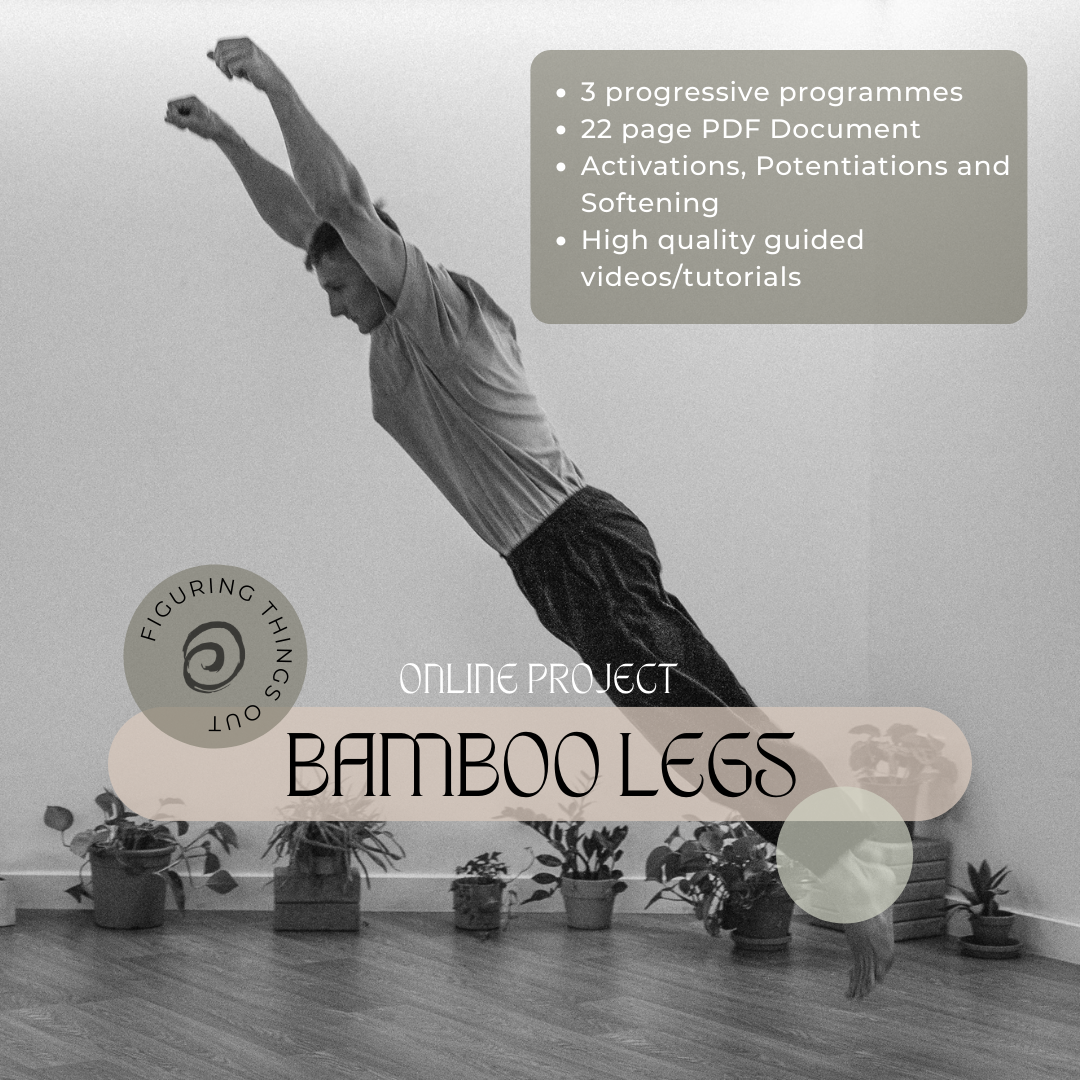Bamboo Legs Online Project — FIGURING THINGS OUT