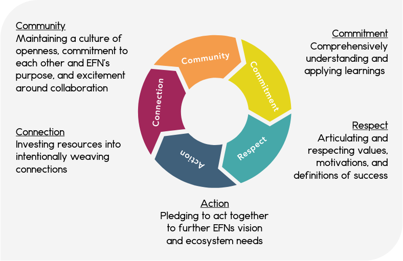 Network Design — ENTREPRENEURSHIP FUNDERS NETWORK