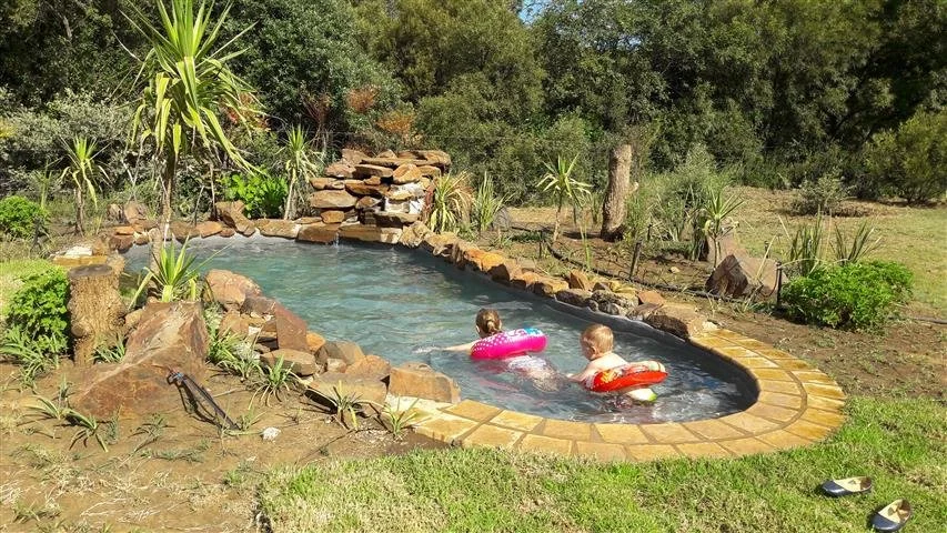 Gallery — Honey Nest