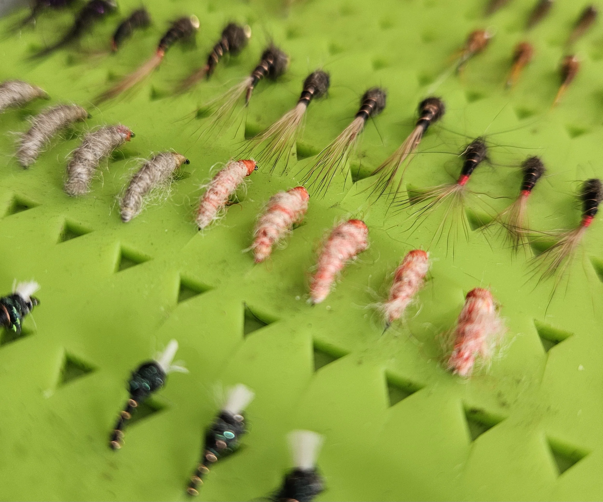 Fly Tying Social — Plymouth and District Freshwater Angling Association
