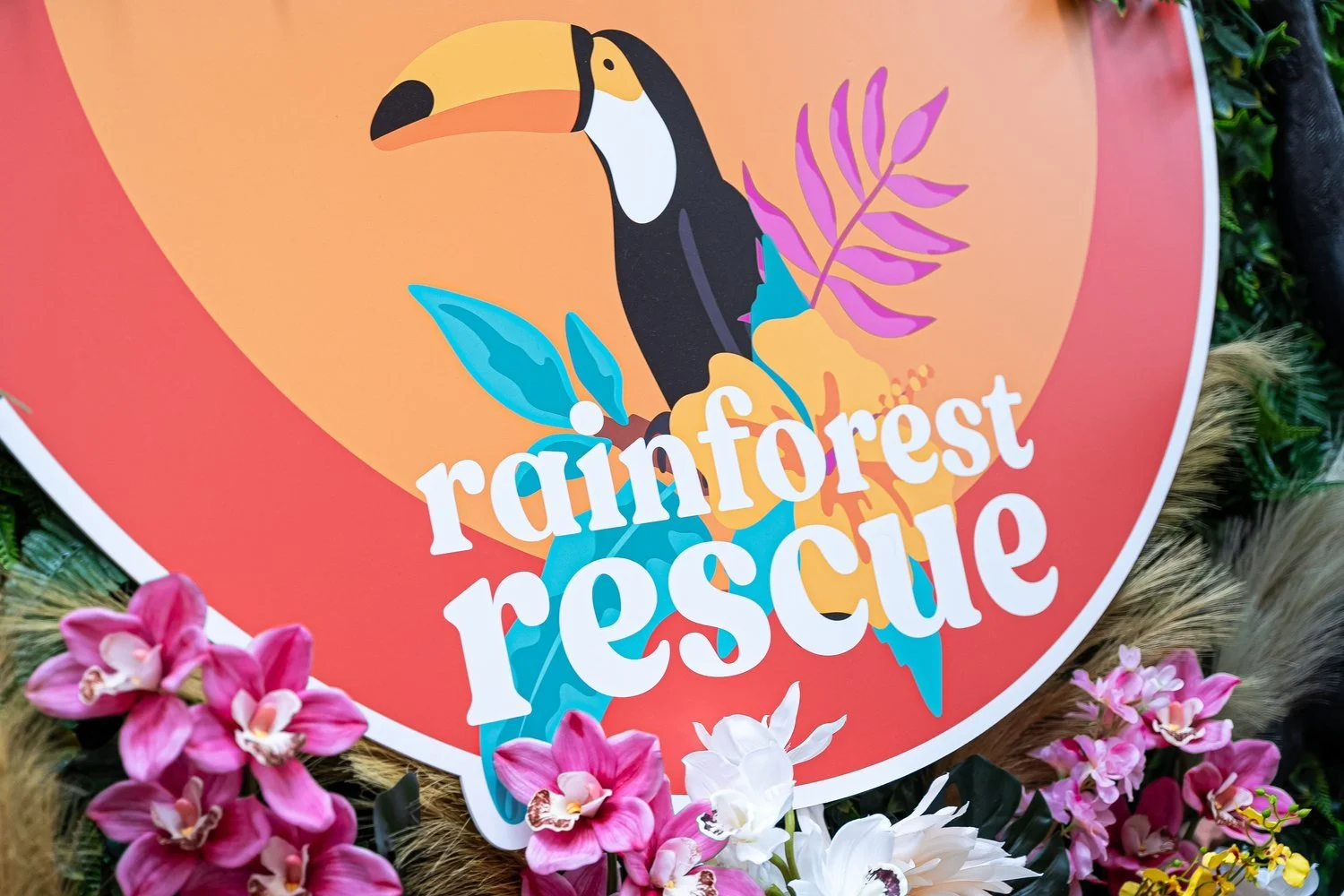 Rainforest Rescue | Interactive Family Event on Rainforest Conservation ...