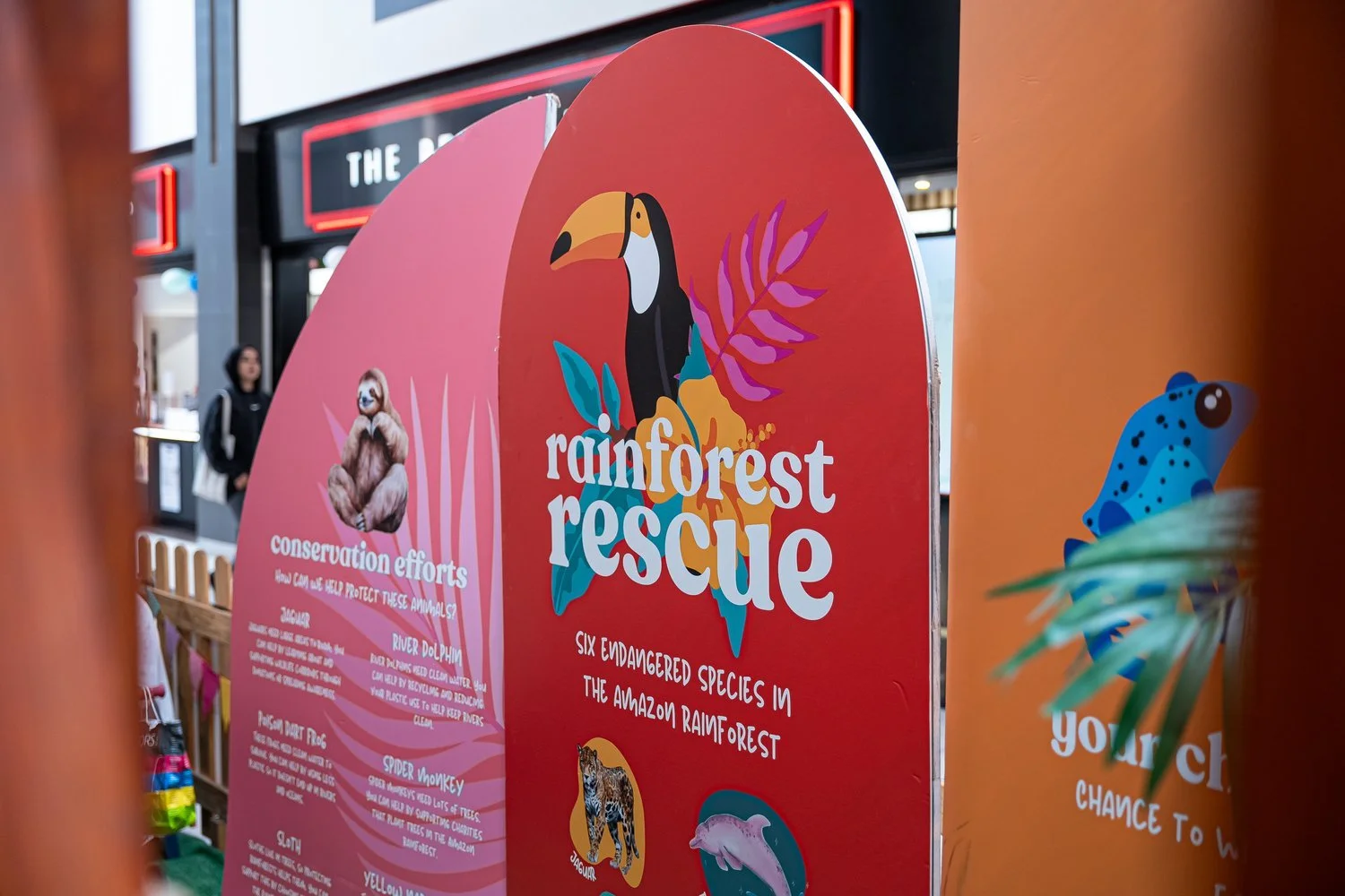 Rainforest Rescue | Interactive Family Event on Rainforest Conservation ...