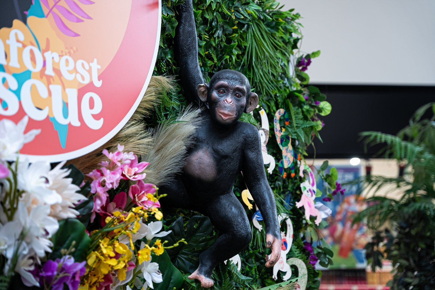 Rainforest Rescue | Interactive Family Event on Rainforest Conservation ...