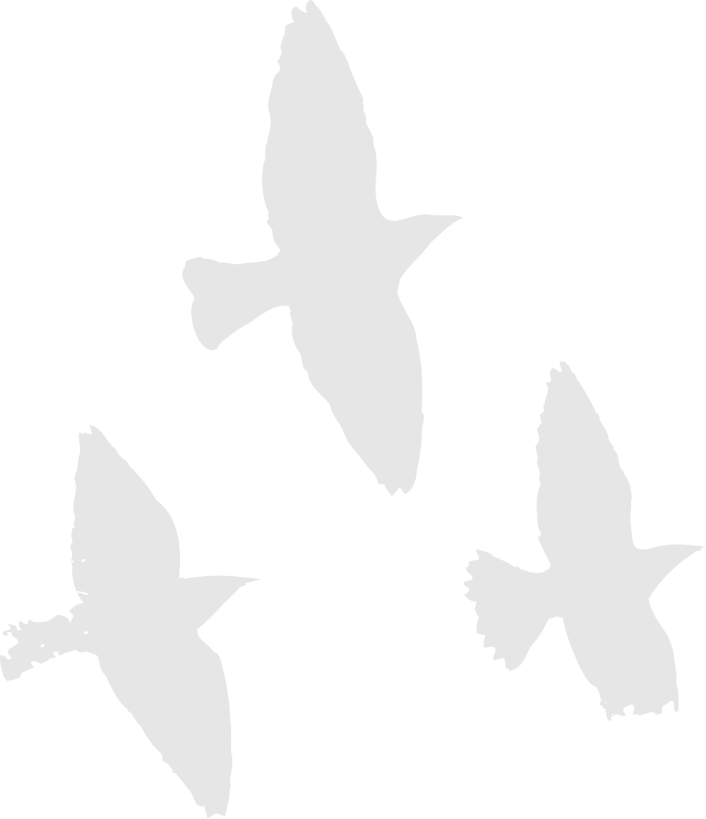 Accelerator — Institute for Self Directed Learning