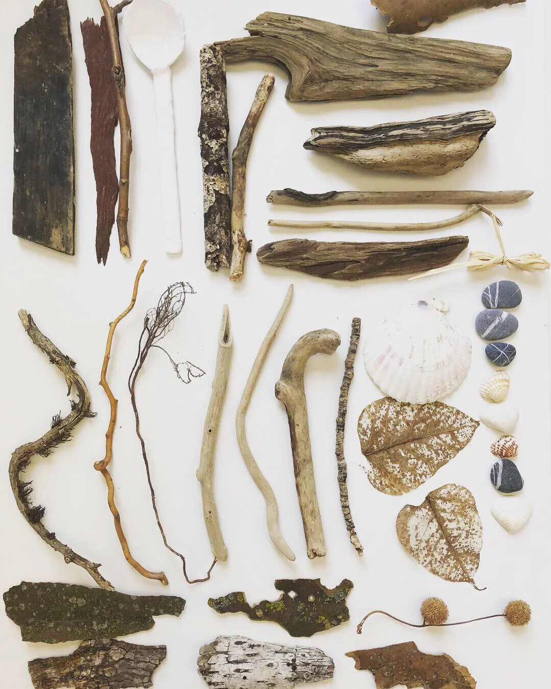 Woodland Weaves — Rachna Garodia
