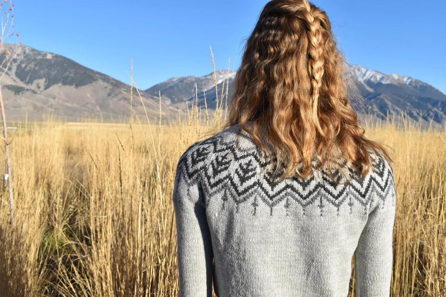 Cinder — Jessica McDonald Designs