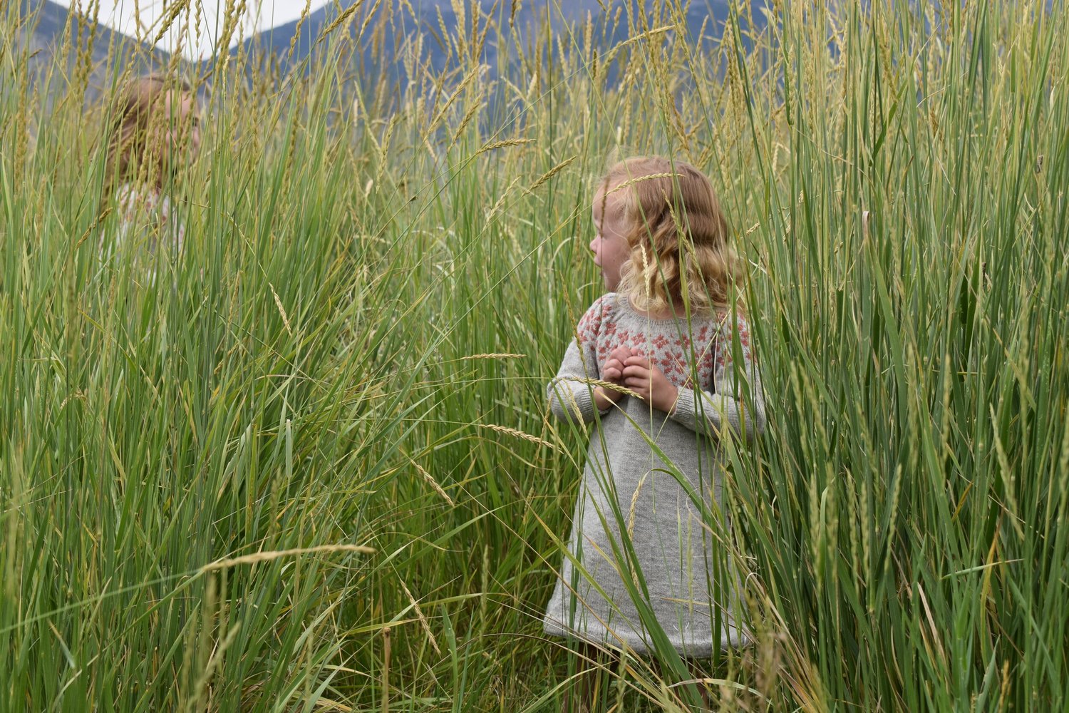 Cinder — Jessica McDonald Designs