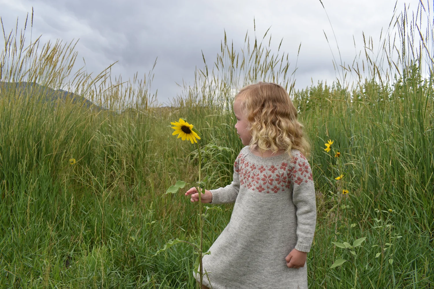 Cinder — Jessica McDonald Designs