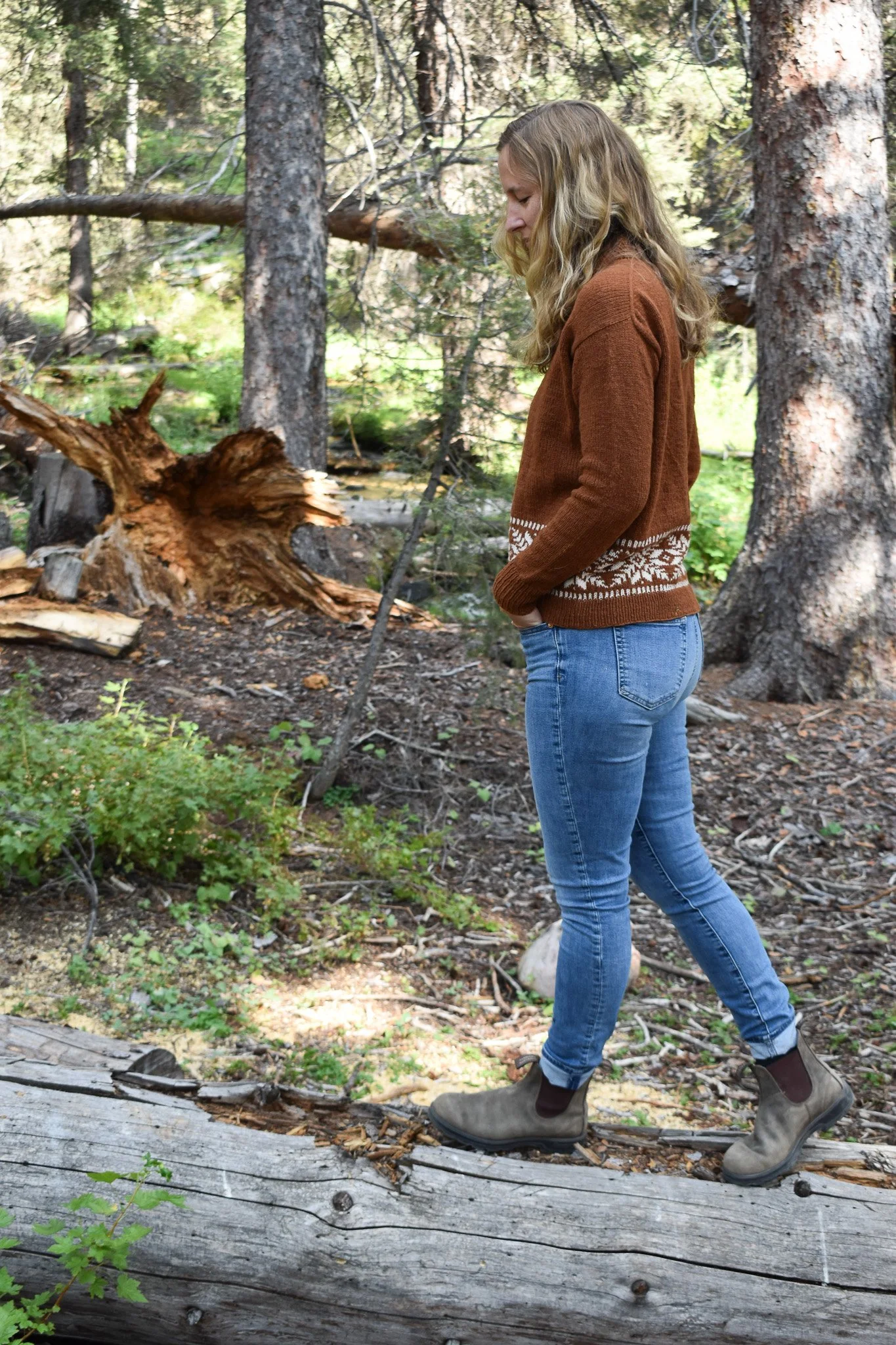 Cinder — Jessica McDonald Designs