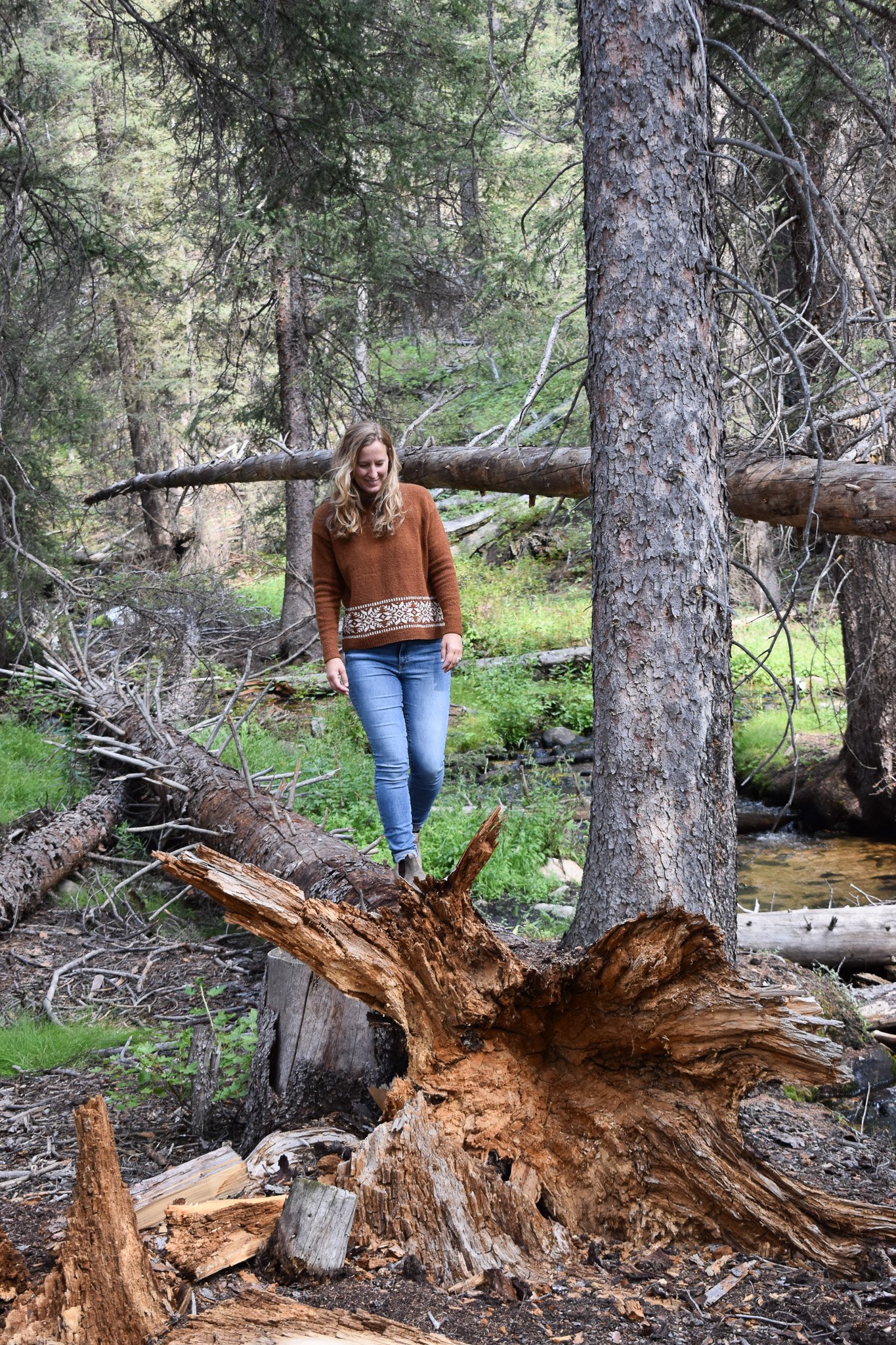 Cinder — Jessica McDonald Designs